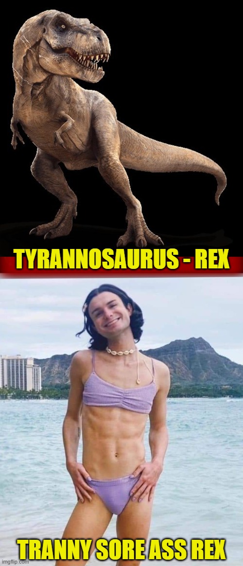 Both should be gone: The Environmentally Friendly Way: Low Carbon Footprint - Imgflip