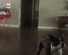 Jumping and flipping - Imgflip