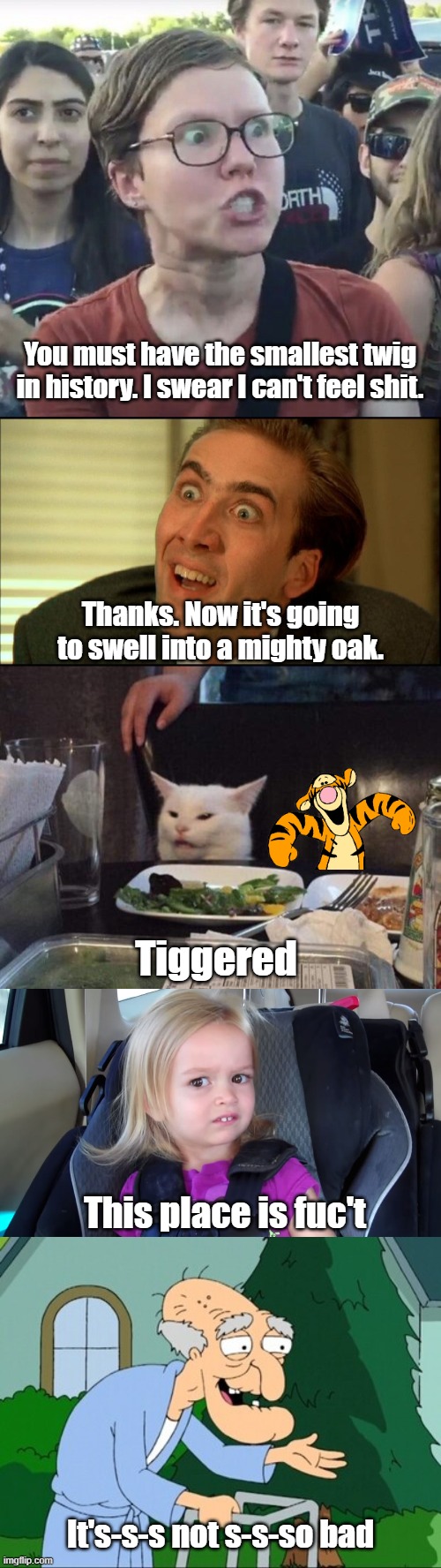 Image tagged in triggered feminist,you don't say - nicholas cage,salad cat,girl in car seat ...