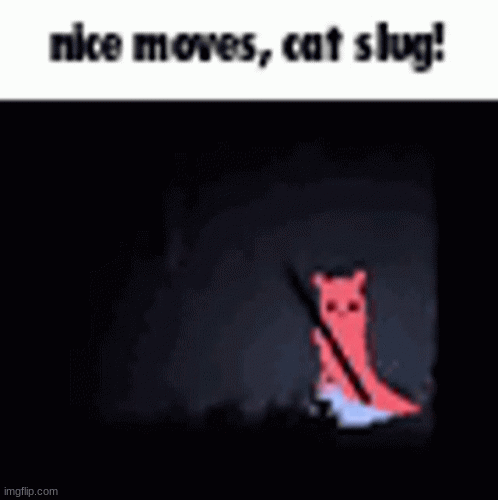 *Slugcat - Imgflip