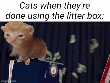 You messy kitty - Imgflip