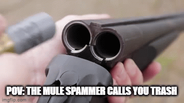 Loading shotgun - Imgflip