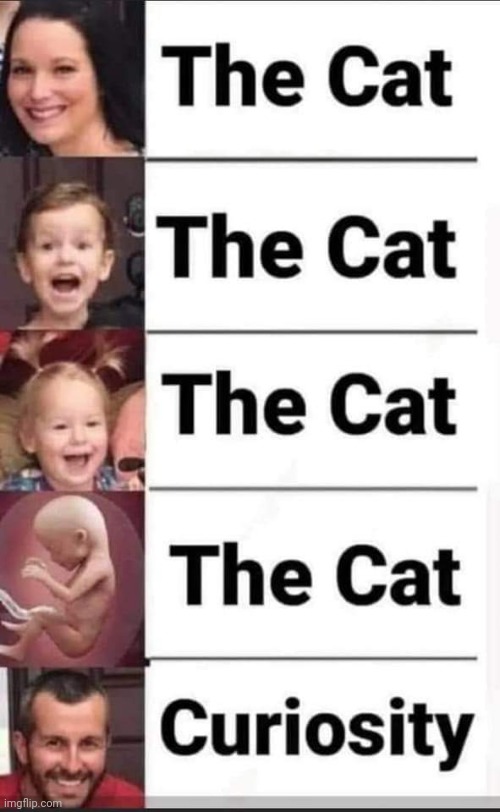 Curiosity did what now? - Imgflip