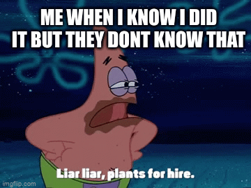 Lying - Siblings - Imgflip