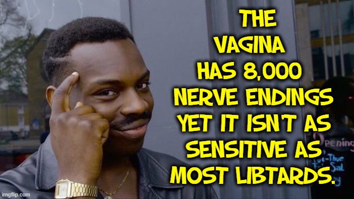 Maybe I shoulda said Vuh-Gi-Gi so I wouldn't get the dreaded NSFW - Imgflip