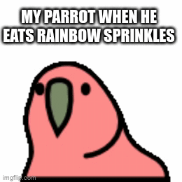 Image tagged in gifs,parrot,dance - Imgflip