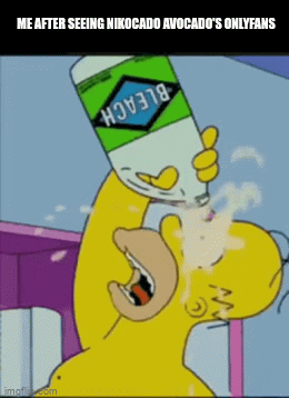 Classic Nikocado Avocado L - Imgflip