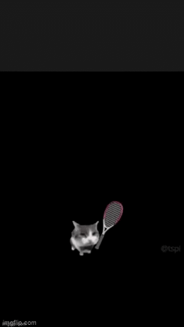 Playing tennis - Imgflip