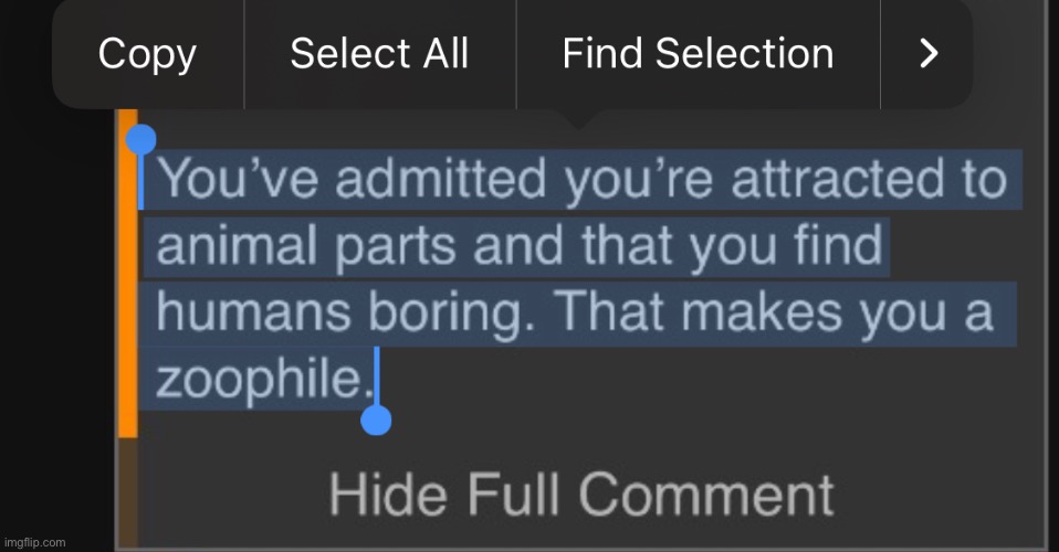 Image tagged in that's it that's was the meme - Imgflip