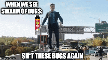 When we see swarm of bugs. - Imgflip