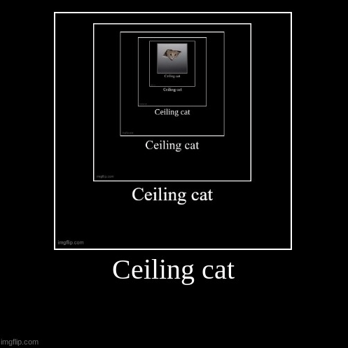 Ceiling cat Blank Template - Imgflip