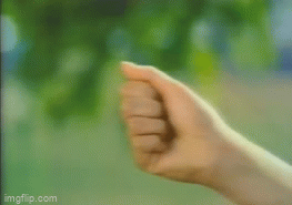 Animated GIF - Imgflip