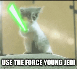 luke when he was first starting to train - Imgflip
