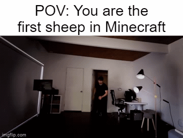 poor sheep - Imgflip