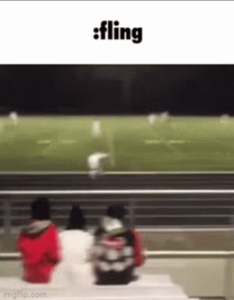 :fling - Imgflip