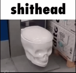 Shit head - Imgflip