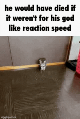 Animated GIF - Imgflip