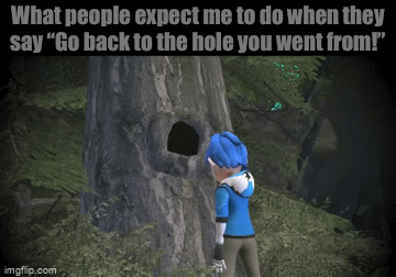 Tari jumping into tree - Imgflip