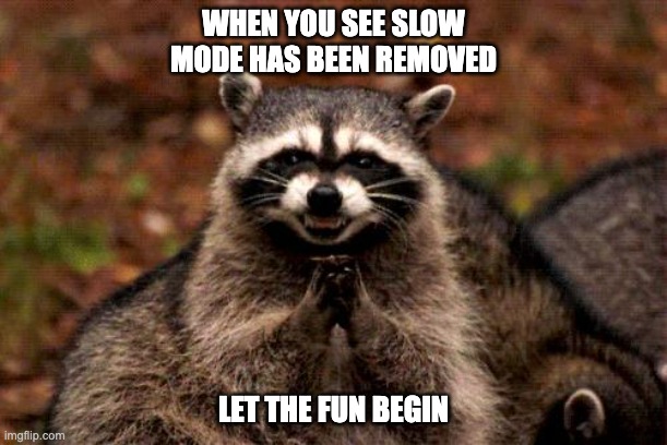 Evil Plotting Raccoon Meme - Imgflip