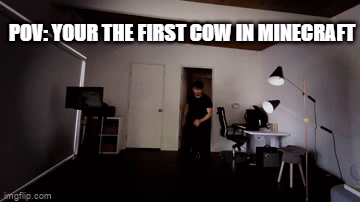 Pov: your the first cow in minecraft - Imgflip