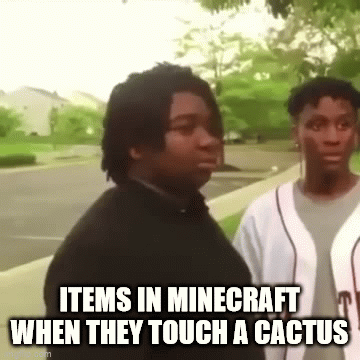 Items in Minecraft when they touch a cactus - Imgflip