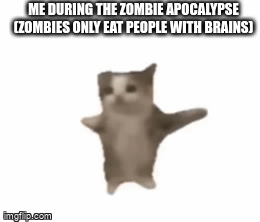 a clever title for your gif - Imgflip