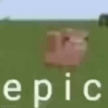 imagine i told you this was a gif - Imgflip