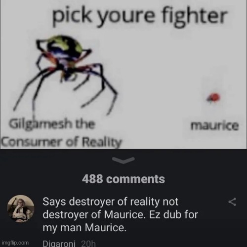 LETS GO MAURICE! - Imgflip