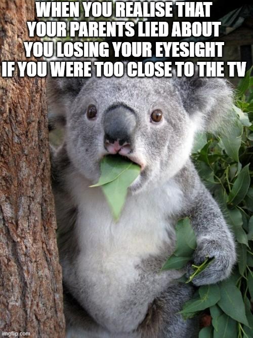 When you ralise your parents lied about getting blind if your too close ...