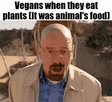 breaking bad - Imgflip