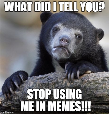 Confession Bear Meme - Imgflip