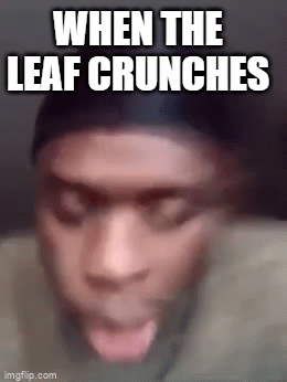 when the leaf crunches be like - Imgflip