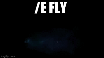 /e fly - Imgflip