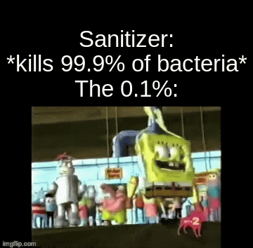 Untitled Image - Imgflip