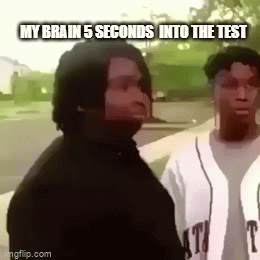 During Test - Imgflip