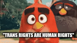 Angry birds - Imgflip