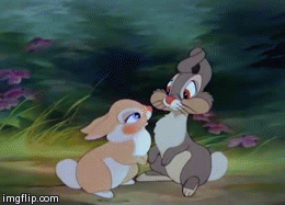 Happy Spring time to get twitterpated - Imgflip