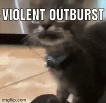 violent outburst #4 - Imgflip