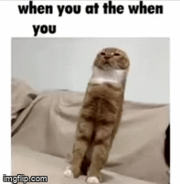 when the he the you the #5 - Imgflip