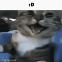 :D #6 - Imgflip