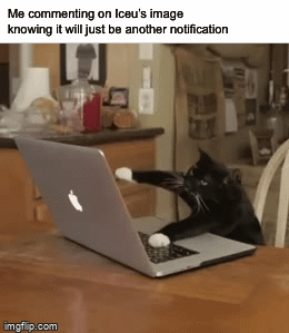 Commenting :) - Imgflip