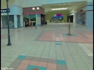 Animated GIF - Imgflip