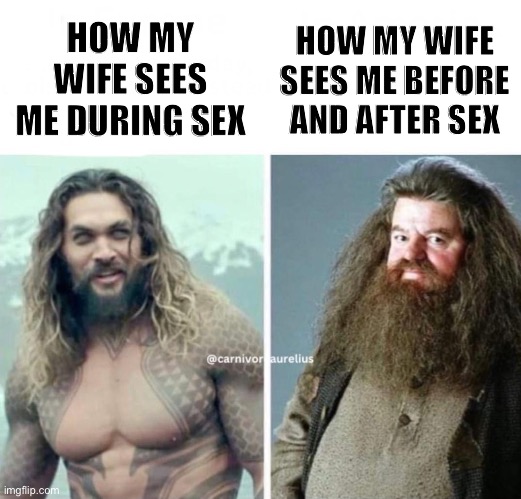 Bearded Dad Bod - Imgflip