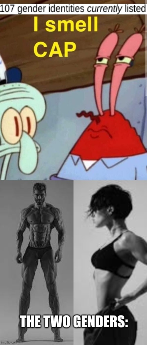 the real number of gender - Imgflip