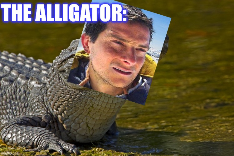 Unsure which appendage gator was initially attacking - Imgflip