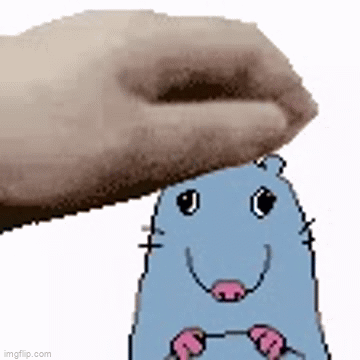 stupid rat my beloved - Imgflip