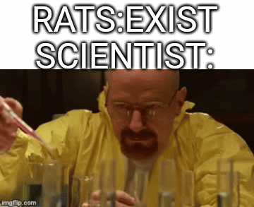 TEST ANIMAL - Imgflip