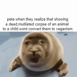 peta moment - Imgflip