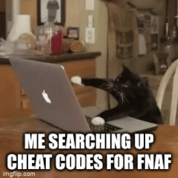 Typing kitty - Imgflip