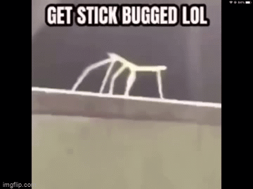 Me when I have a guest - Imgflip